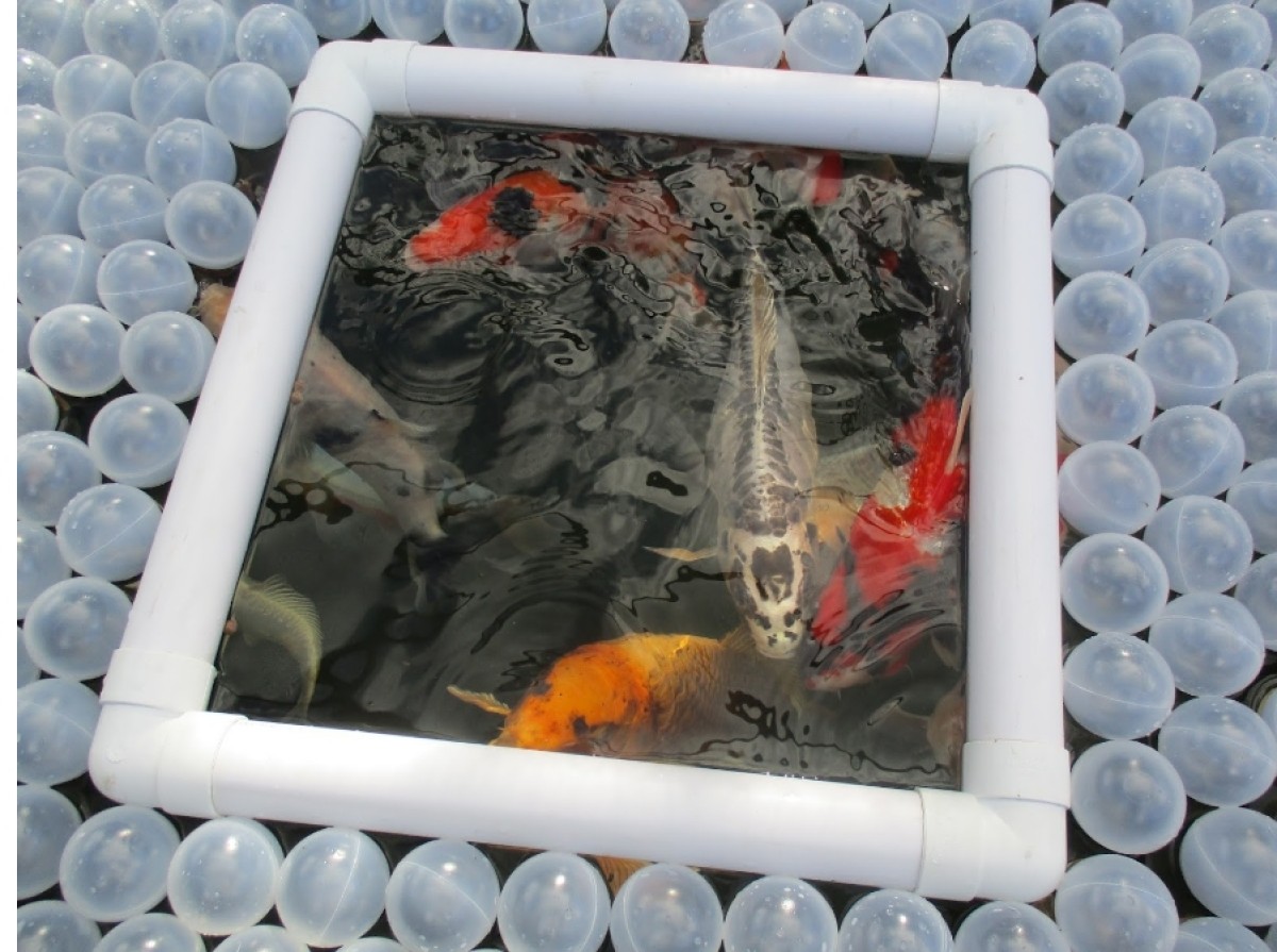 New Solution: Fish pond or Insulation Ball for Winter Koi Pond ...